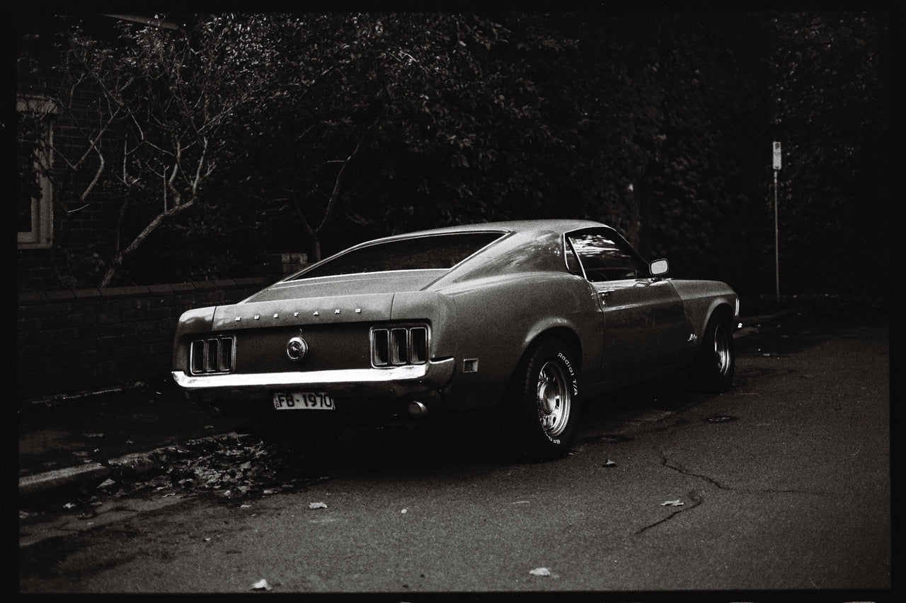 Exploring Different Film Stocks: Unleash Your Creativity with a Variet ...